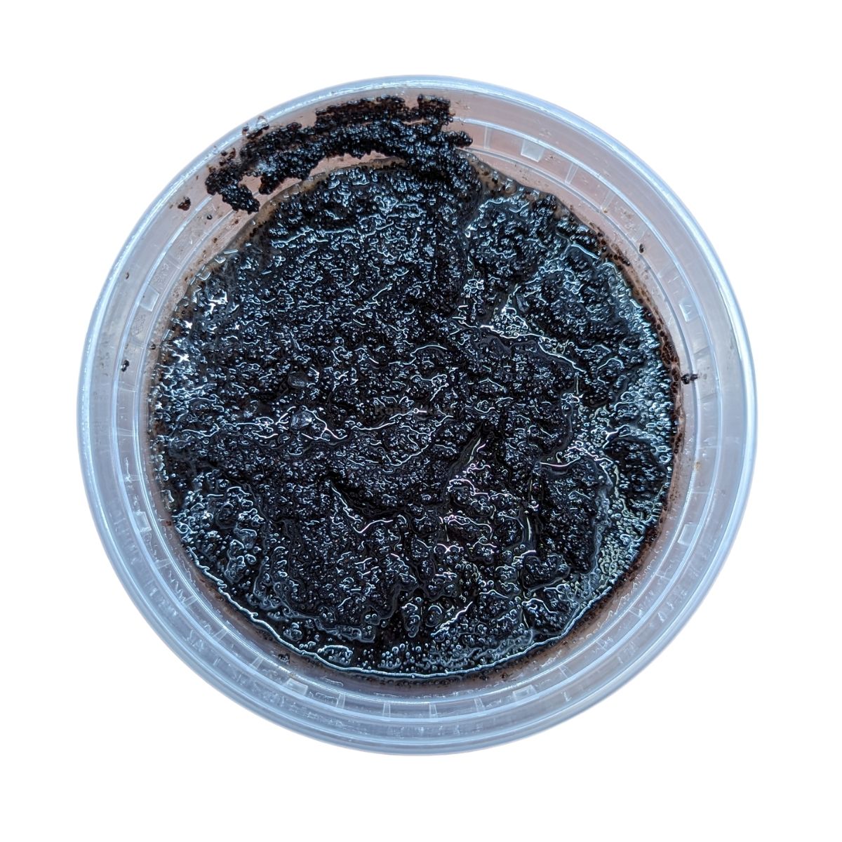 Buy Holon Poppy Butter 16 oz | Kosherkart | Shabbos Meals